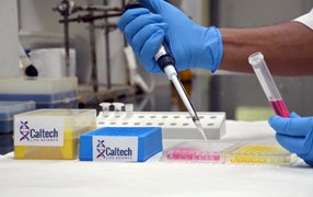 Caltech Life Science::..