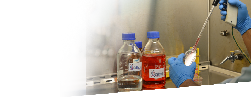 Caltech Life Science::..